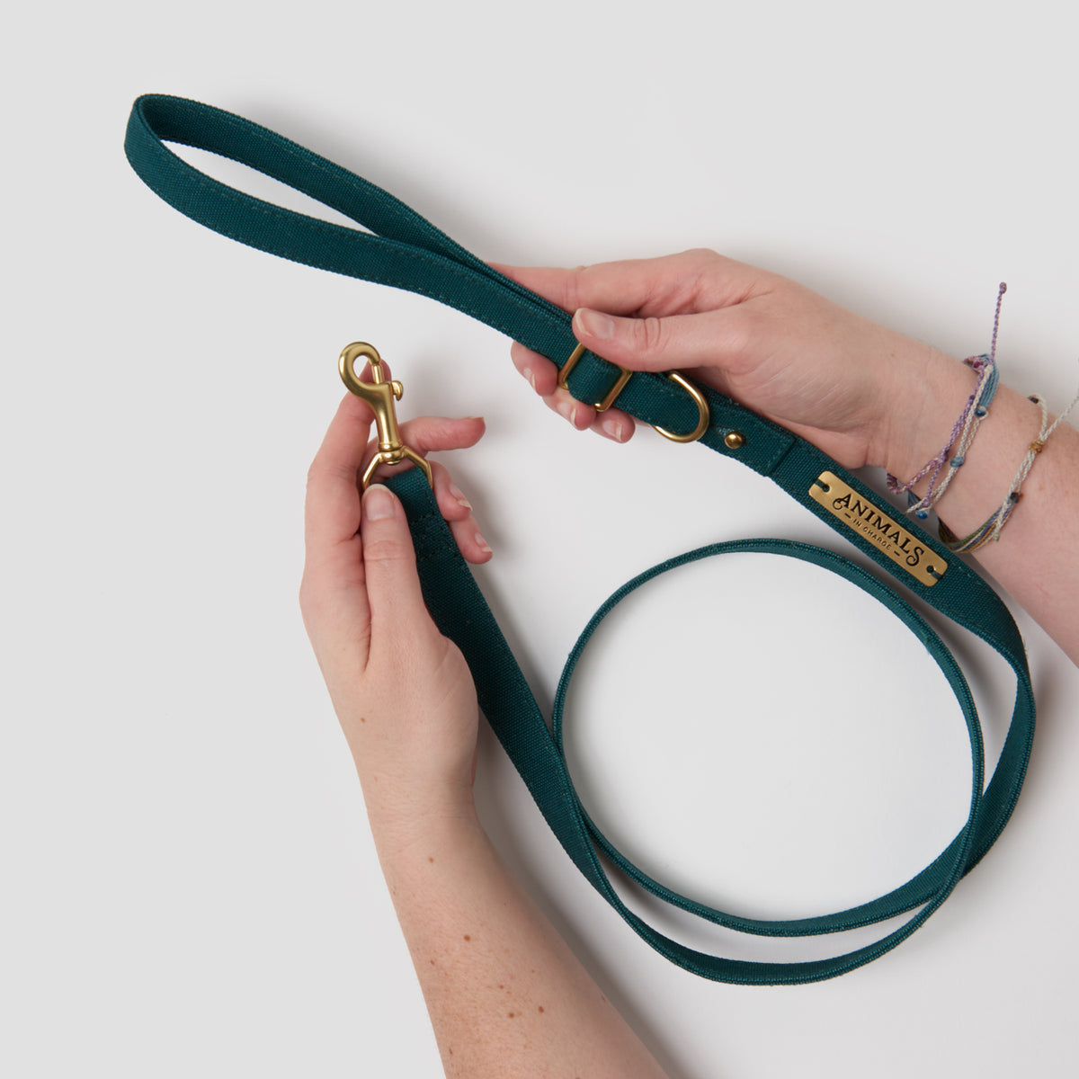 Forest Green Organic Canvas Dog Leash - Easy Tie | Animals in Charge