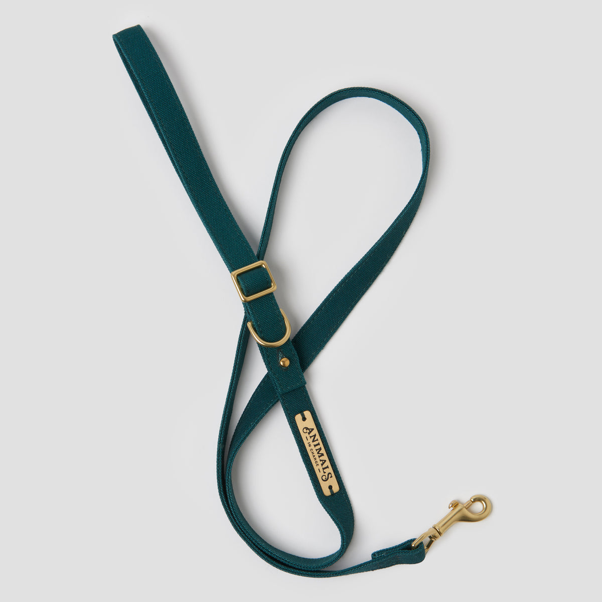 Forest Green Organic Canvas Dog Leash - Easy Tie | Animals in Charge