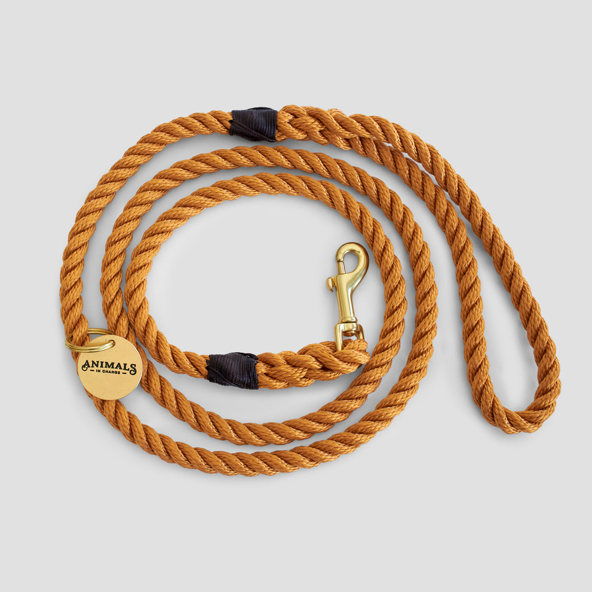 Harvest Yellow Rope Dog Leash - All Weather | Animals in Charge