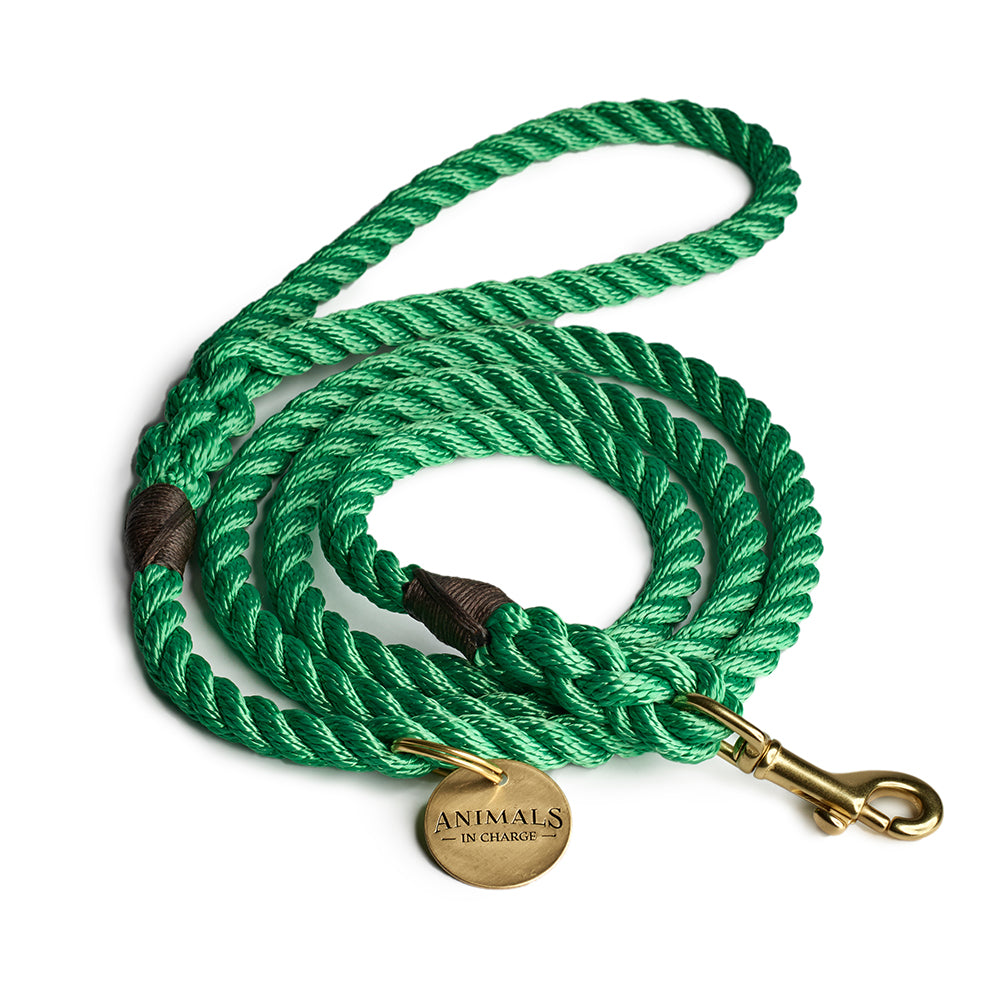 Leafy Green Rope Dog Leash - All Weather | Animals in Charge